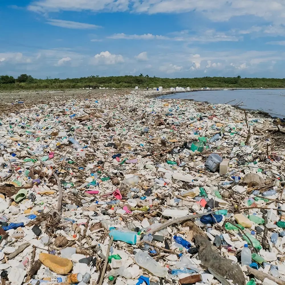 4ocean Charitable Foundation